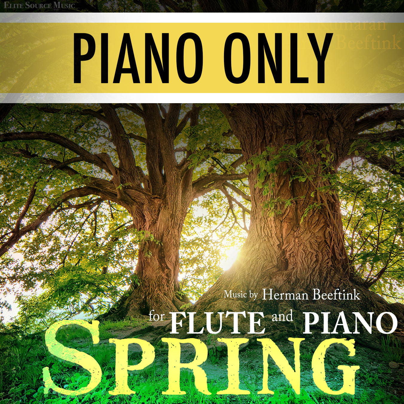 PLAY ALONG - "Spring" (flute and piano) - PIANO ONLY - AUDIO MP3 Accom ...